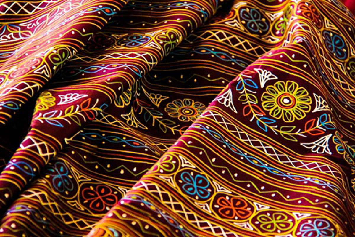 Painting Hope Through Rogan Art - India Fellow